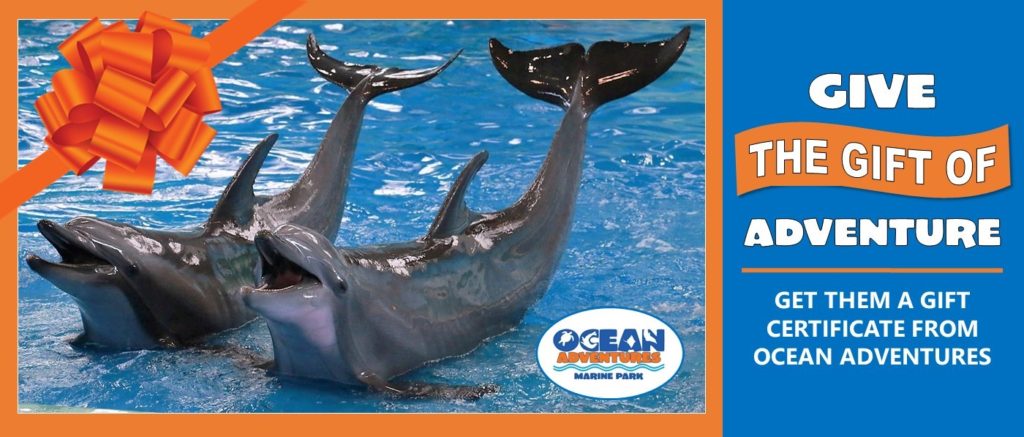 01 Gift Certificates - Ocean Adventures